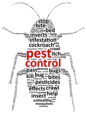 Pest Control Services in Dallas, TX | SafeHaven Pest Control